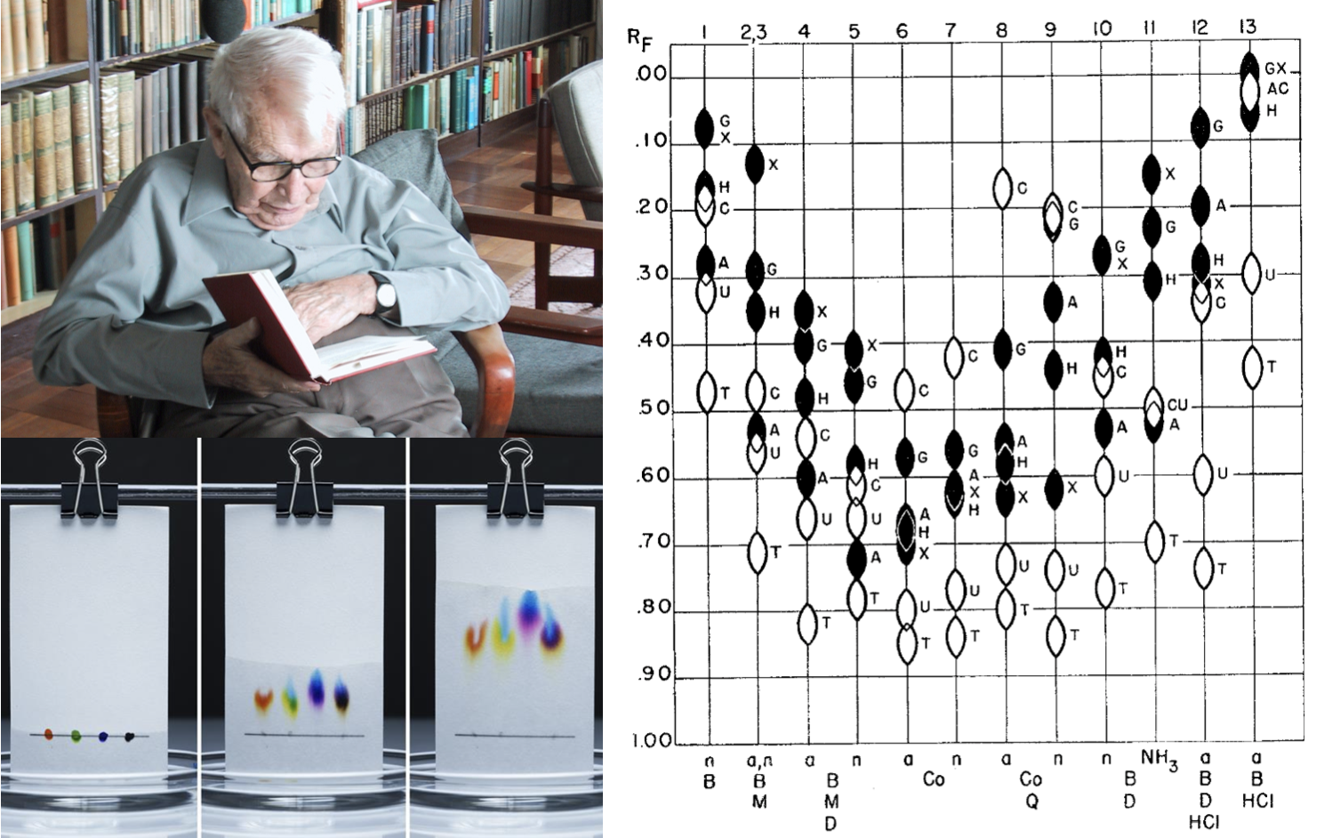 Series: The DNA Files | Consortium for History of Science, Technology ...
